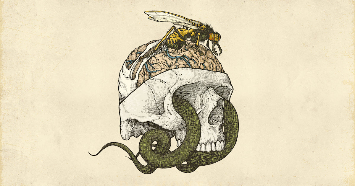 Multi-National Heavy Metal Collective DAEMONELIX signs to MAR – Metal ...